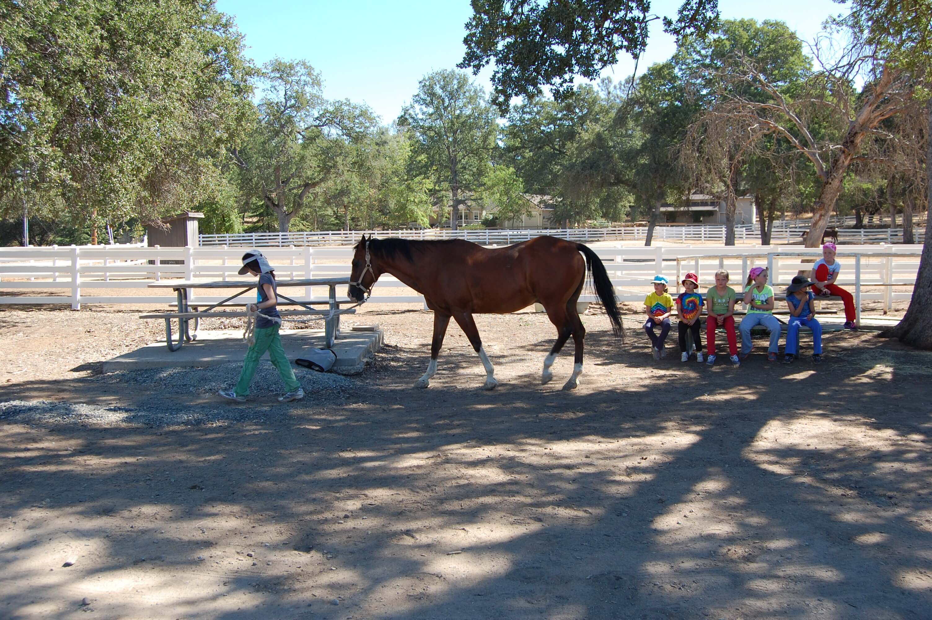 stables, pool 003 – Pine Mountain Lake